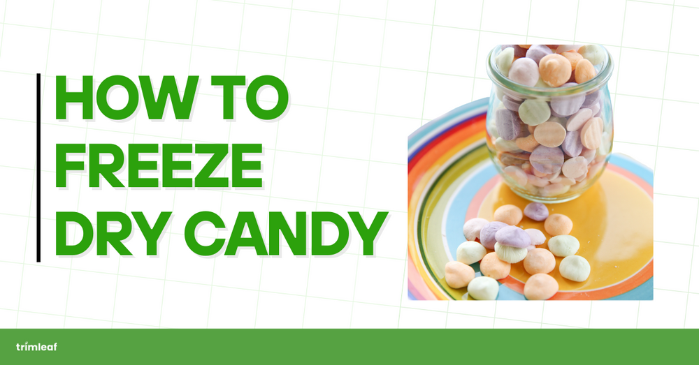 How to Freeze Dry Candy: A Comprehensive Guide