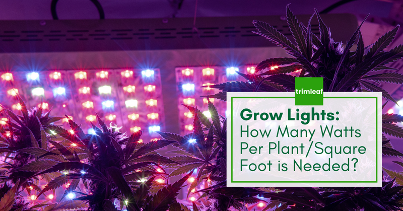 Grow Light Wattage Guide: Watts Per Plant, Per Sq Ft, and By Tent Size ...