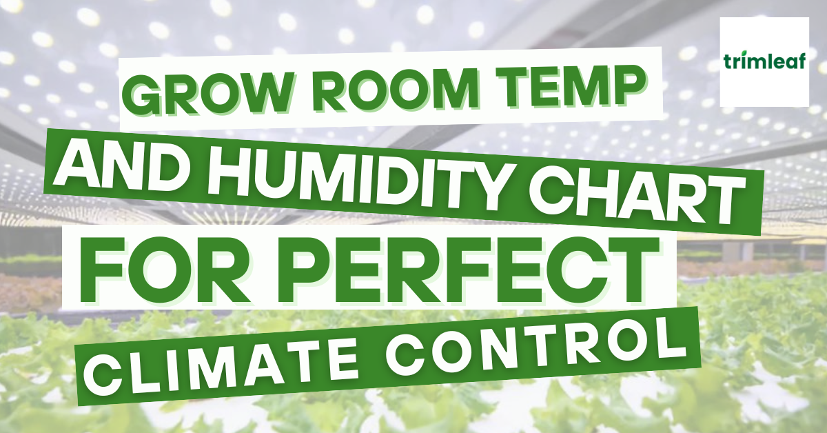 Grow Room Temp and Humidity Chart for Perfect Climate Control