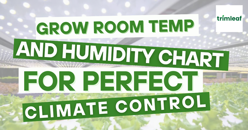 Grow Room Temp and Humidity Chart for Perfect Climate Control