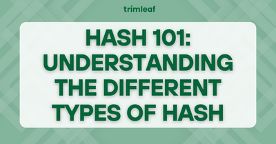 Hash 101: Understanding the Different Types of Hash