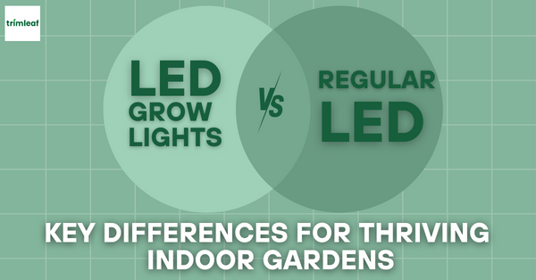 LED Grow Lights vs. Regular LEDs: Key Differences for Thriving Indoor