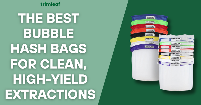 The Best Bubble Hash Bags for Clean, High-Yield Extractions
