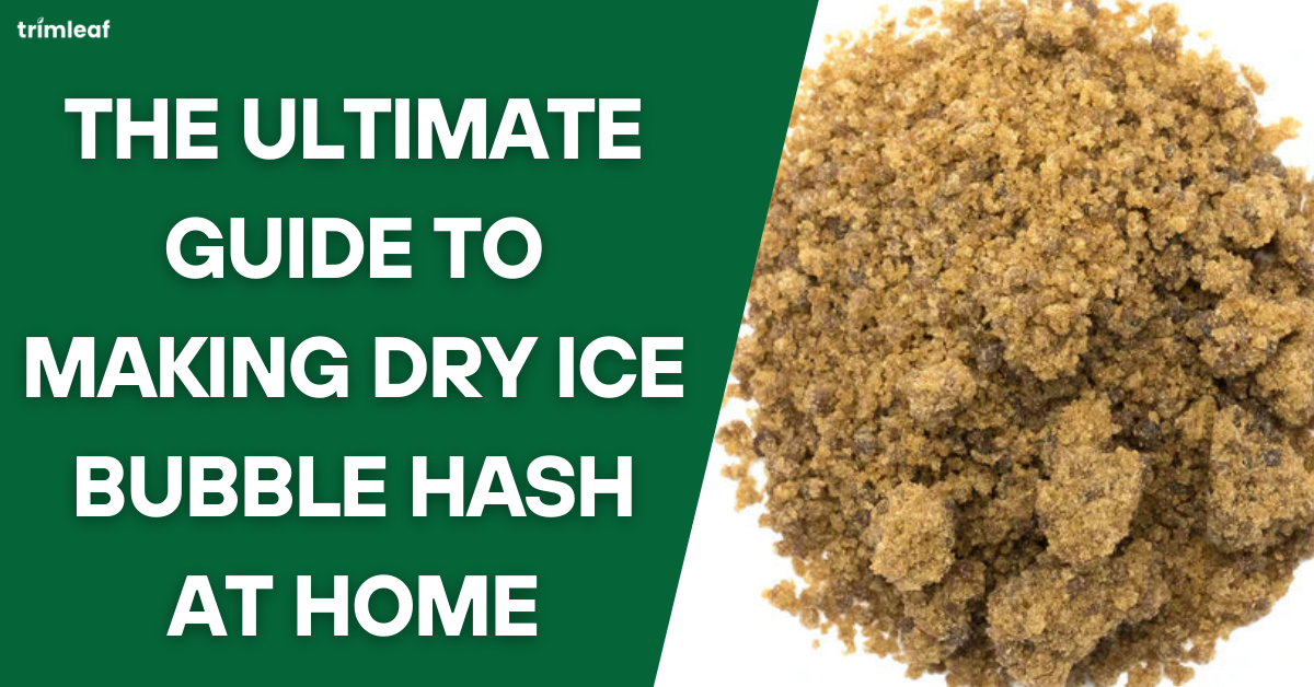 The Ultimate Guide to Making Dry Ice Bubble Hash at Home