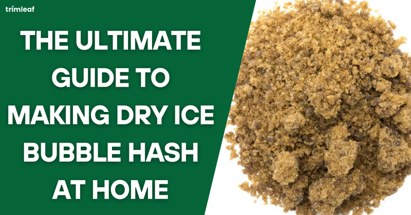 The Ultimate Guide to Making Dry Ice Bubble Hash at Home
